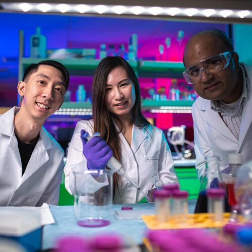 3-Year Accelerated Doctor of Pharmacy (PharmD) Program - Roseman University